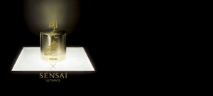 SENSAI