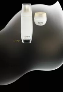 SENSAI