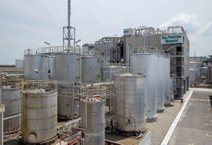 Kao Chemicals