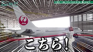 【JAL全面協力】空飛ぶ花王？機内＆空港内の“お掃除事情”のぞいてみた│花王 My Kao