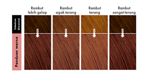 Kao Liese - Creamy Bubble Color