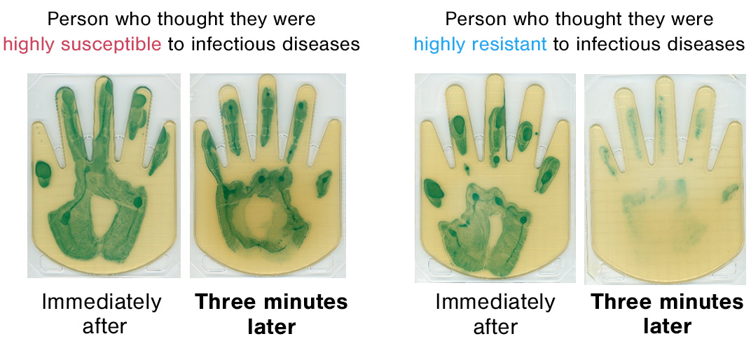 microorganisms on hands