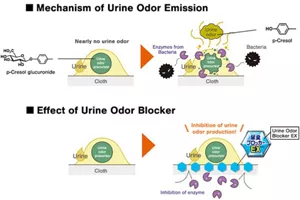 Kao | Analysis of Unpleasant Odor-emitting Mechanism and Development of ...
