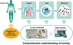 Kao | Prediction of Complex Systemic Toxicity Without Use of ...