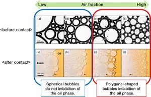Kao | Forefront of Foam Research