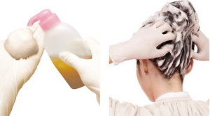 Kao | History of Major Initiatives