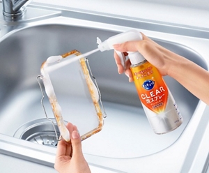 Kao | History of Major Initiatives