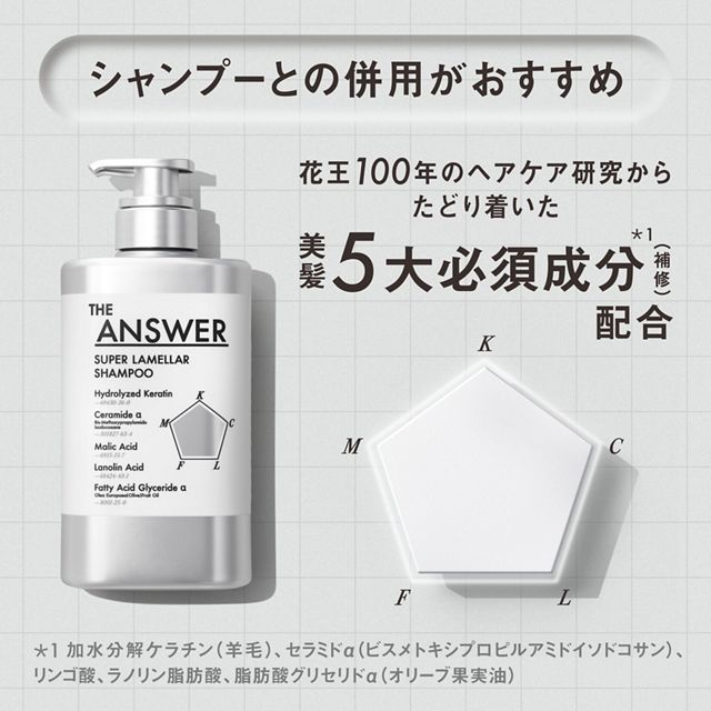 Kao Corporation|Product Information|THE ANSWER EXモイストトリートメント FOR DAILY DAMAGE 220g