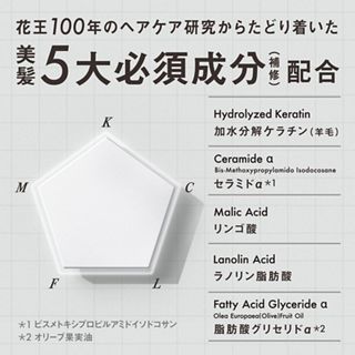 THE ANSWER トライアルセット〈お試し3日分〉 シャンプー × トリートメント（日常ダメージ） | 花王公式通販 【My Kao Mall】