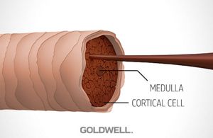 Goldwell Hair Properties