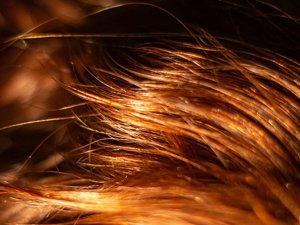 How to Stop Greasy Hair | John Frieda